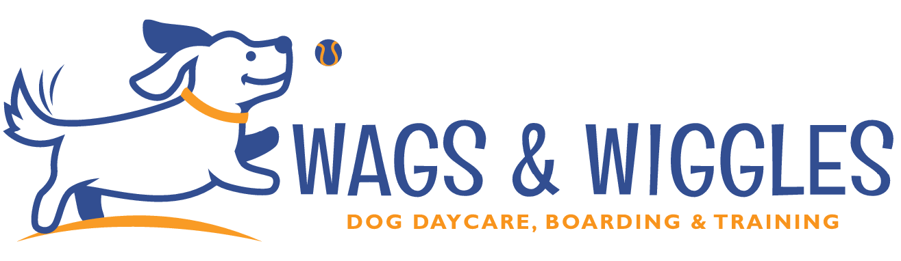 Client Login - Wags & Wiggles